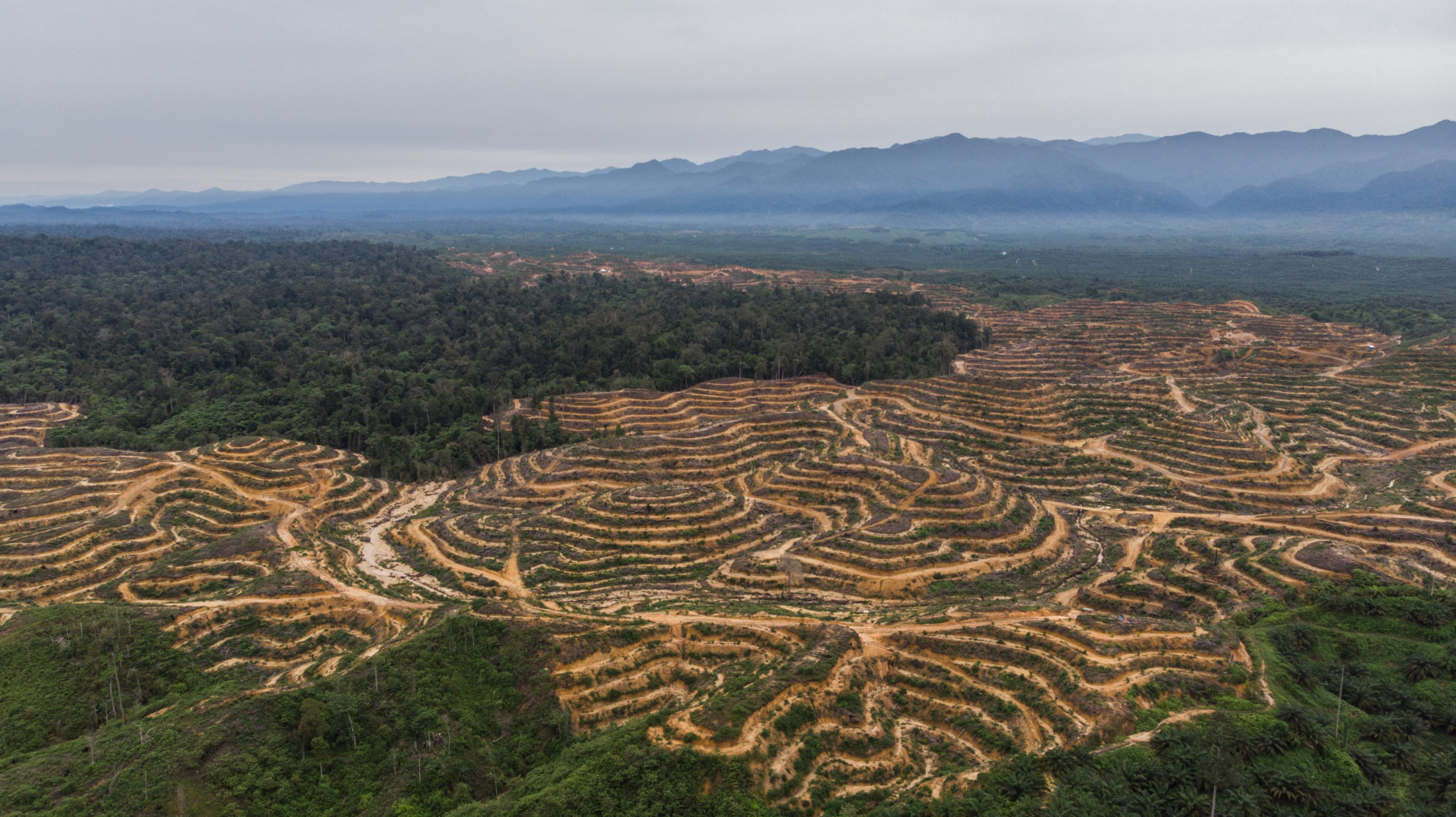 Conservation challenges