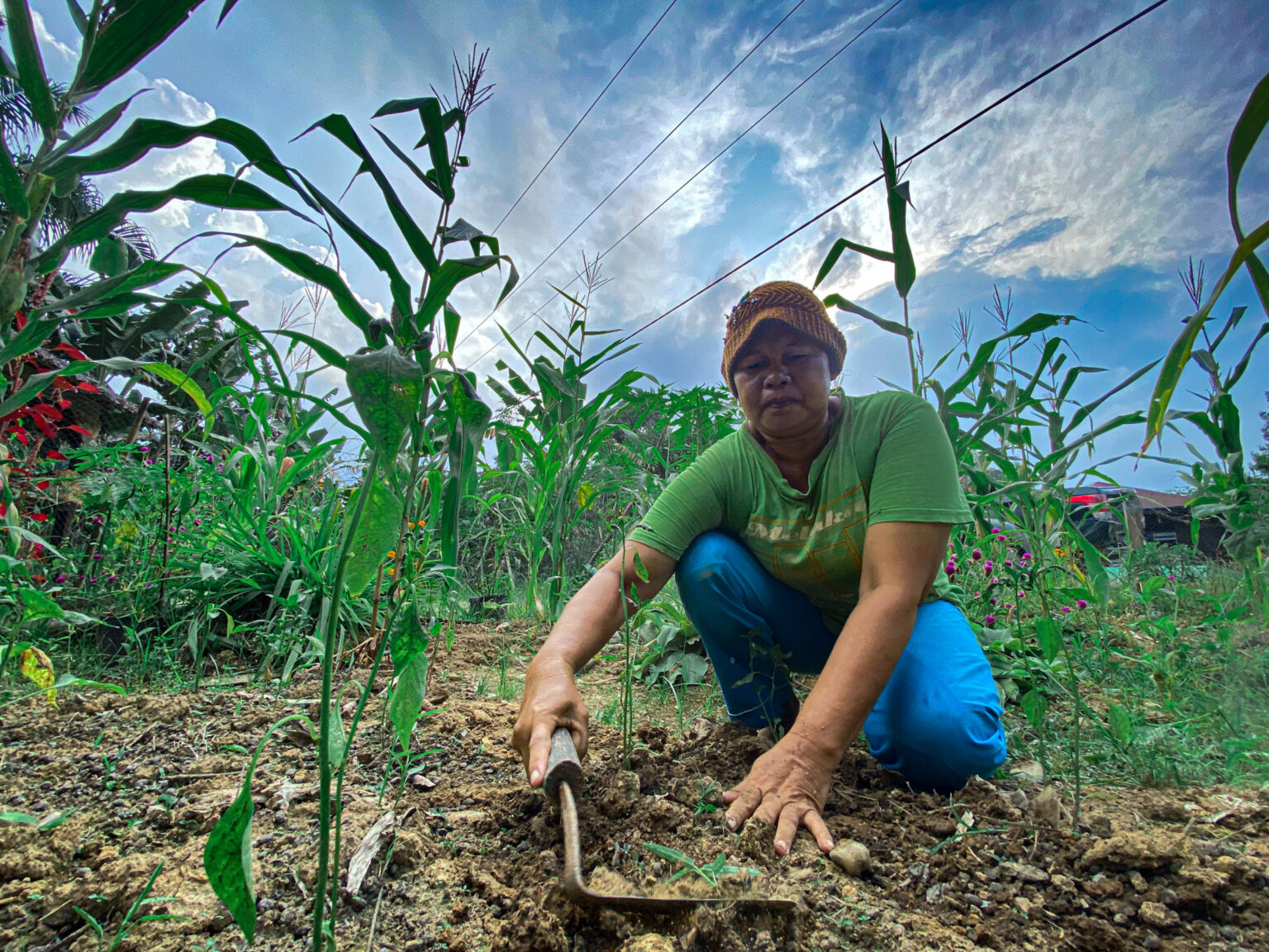 Conservation challenges