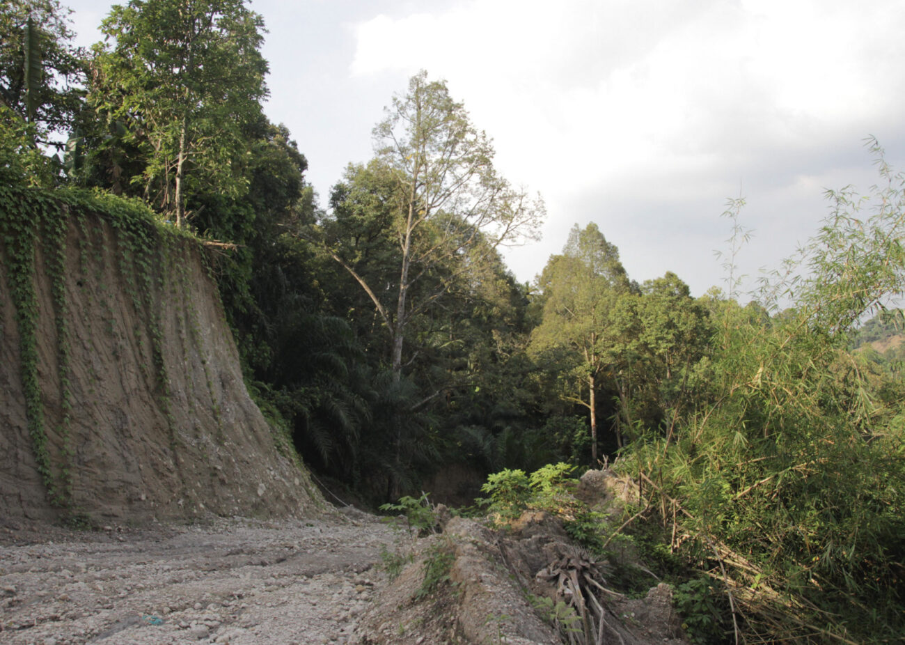 Conservation challenges