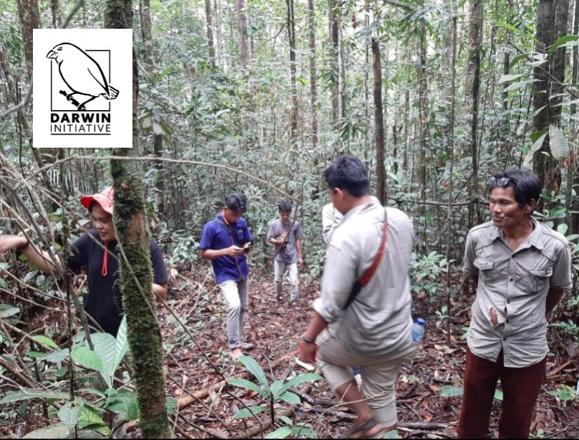 SOS and the Darwin Initiative - building expertise - SOS – Sumatran ...