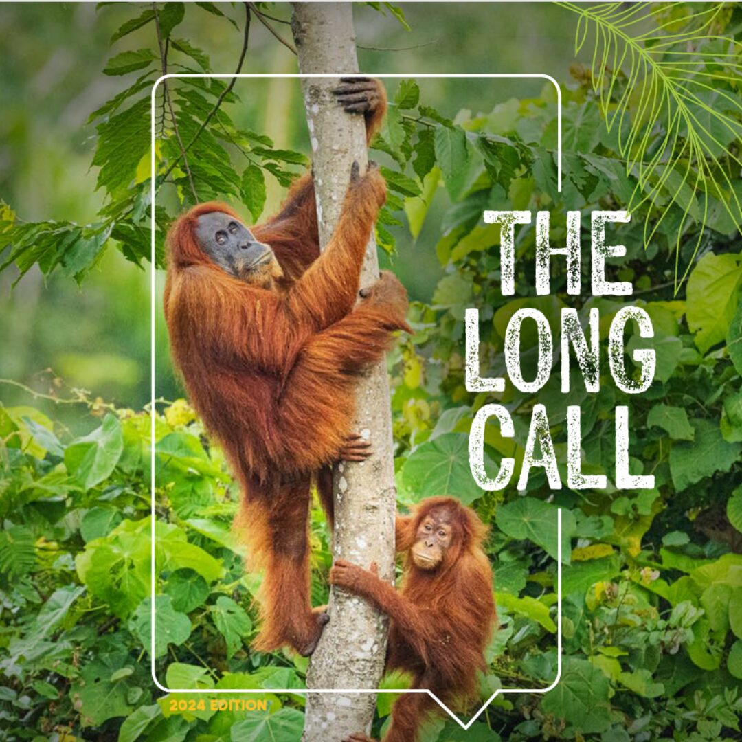 Stories of Hope and Progress: Introducing “The Long Call” - SOS ...