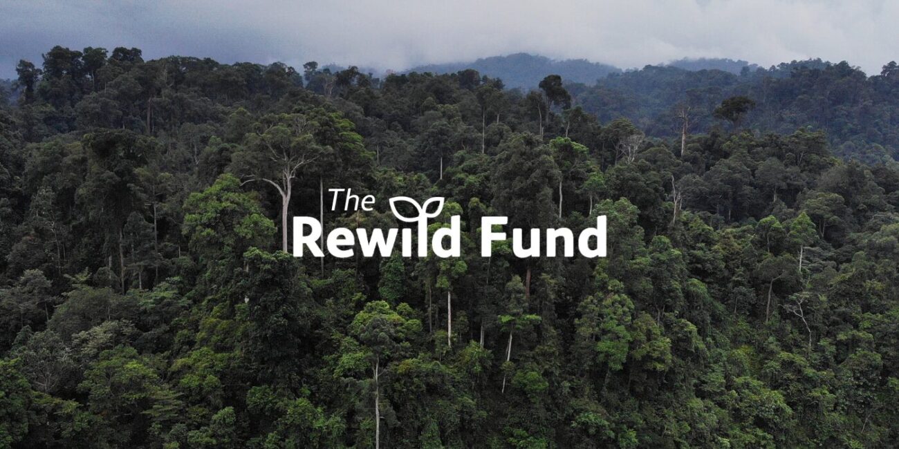 How We're Planting Seeds of Sustainable Development - SOS – Sumatran ...